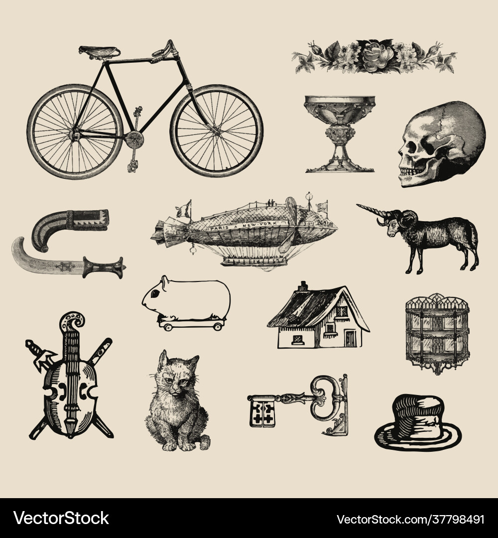 Victorian Engravings: Objects & Motifs Vector Image
