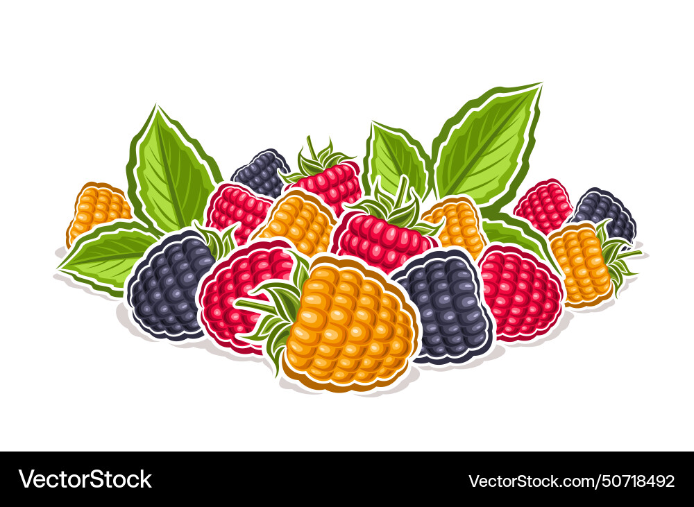 Logo for wild berry Royalty Free Vector Image - VectorStock