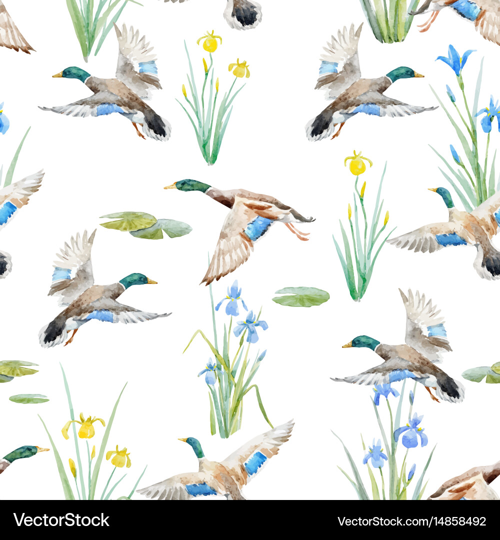 Watercolor Duck Pattern Royalty Free Vector Image