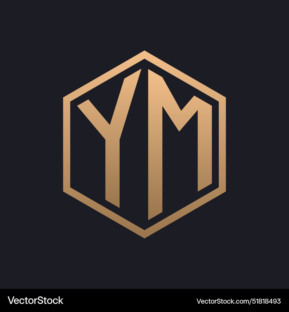Elegant hexagon letter ym logo design initial Vector Image