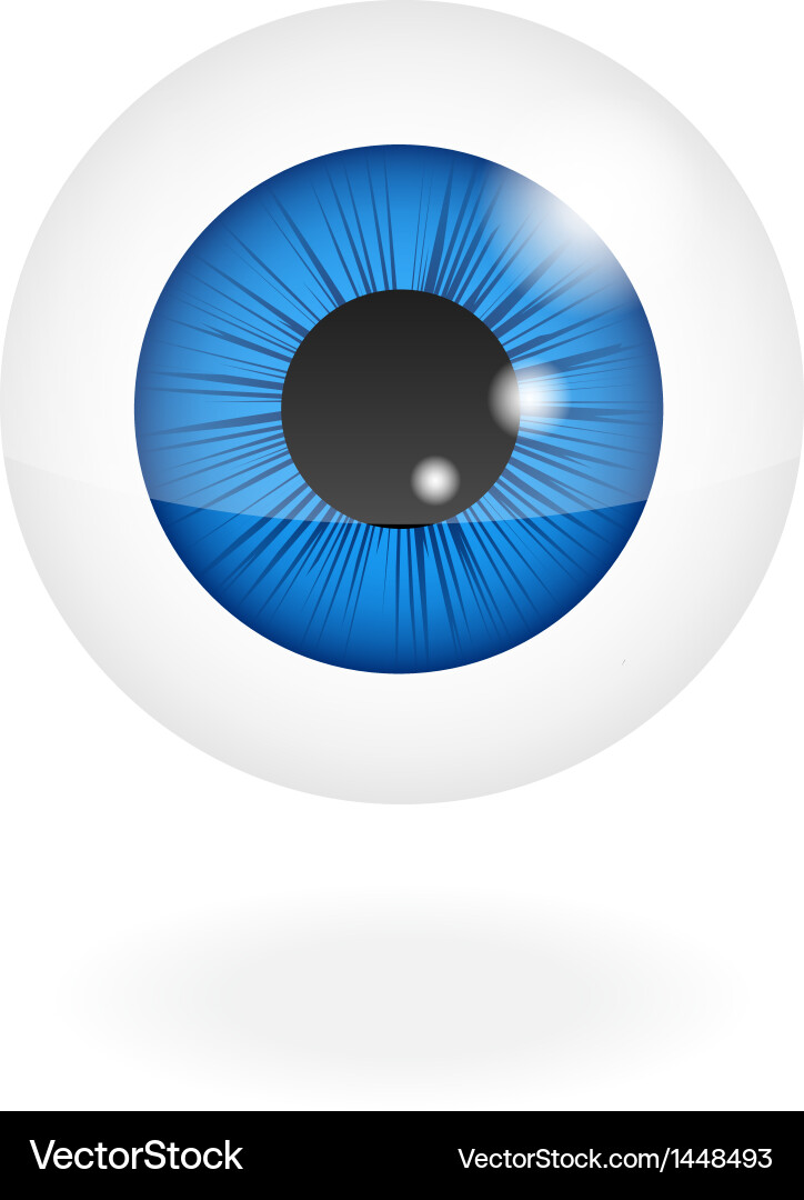 Eye Royalty Free Vector Image - VectorStock