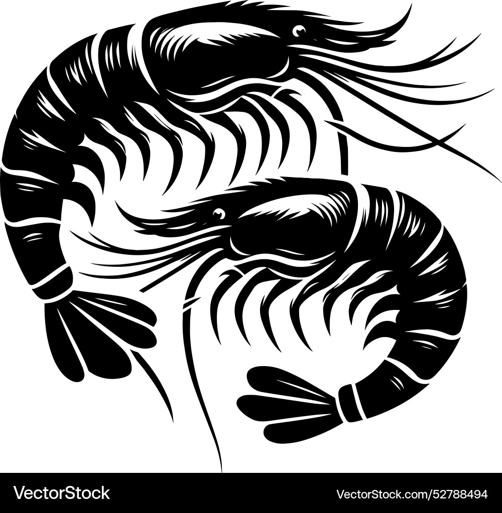 Shrimp silhouette isolated on white background Vector Image