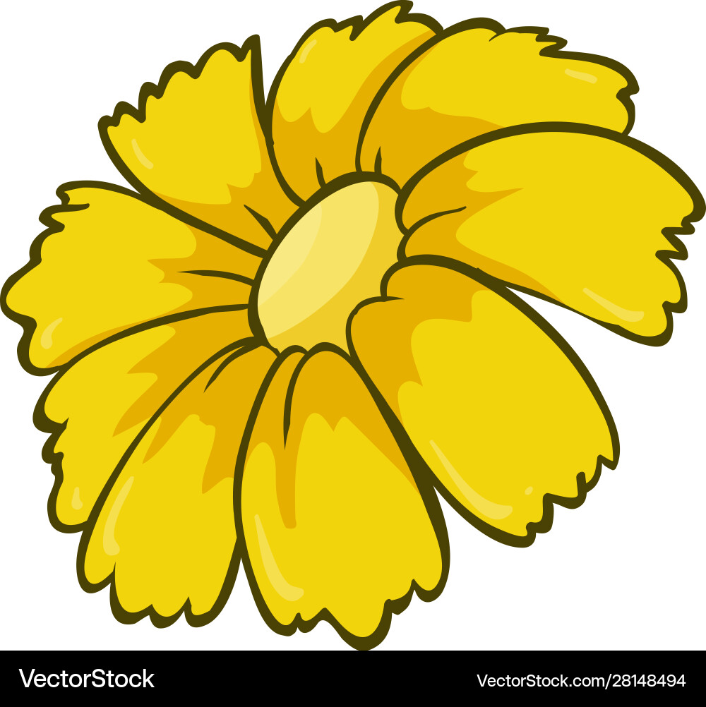 Single flower in yellow color Royalty Free Vector Image