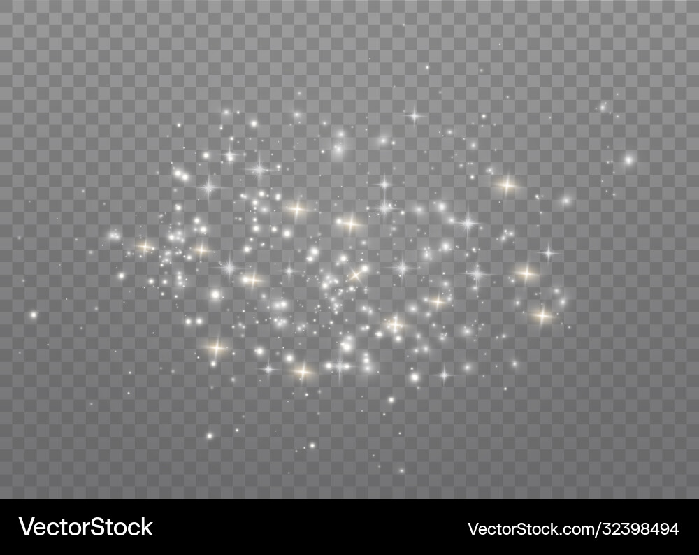 Sparkling dust particles Royalty Free Vector Image