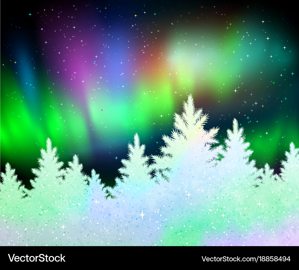 Winter Northern Lights Landscape Royalty Free Vector Image