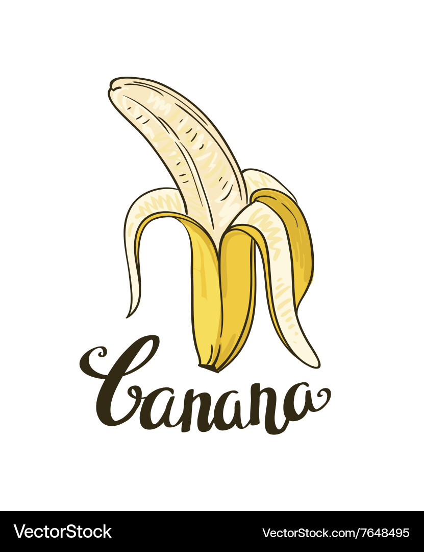 Banana Royalty Free Vector Image - VectorStock