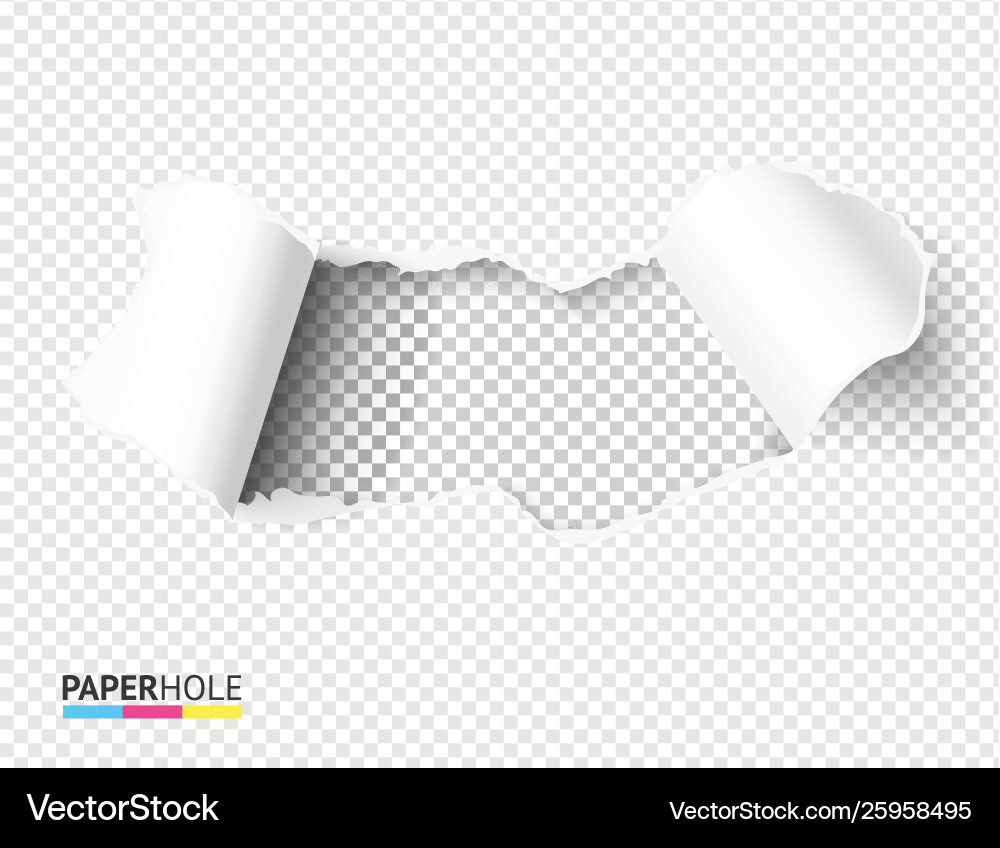 Blank zerrissene Papierstücke scrollen Lizenzfreier Vektor