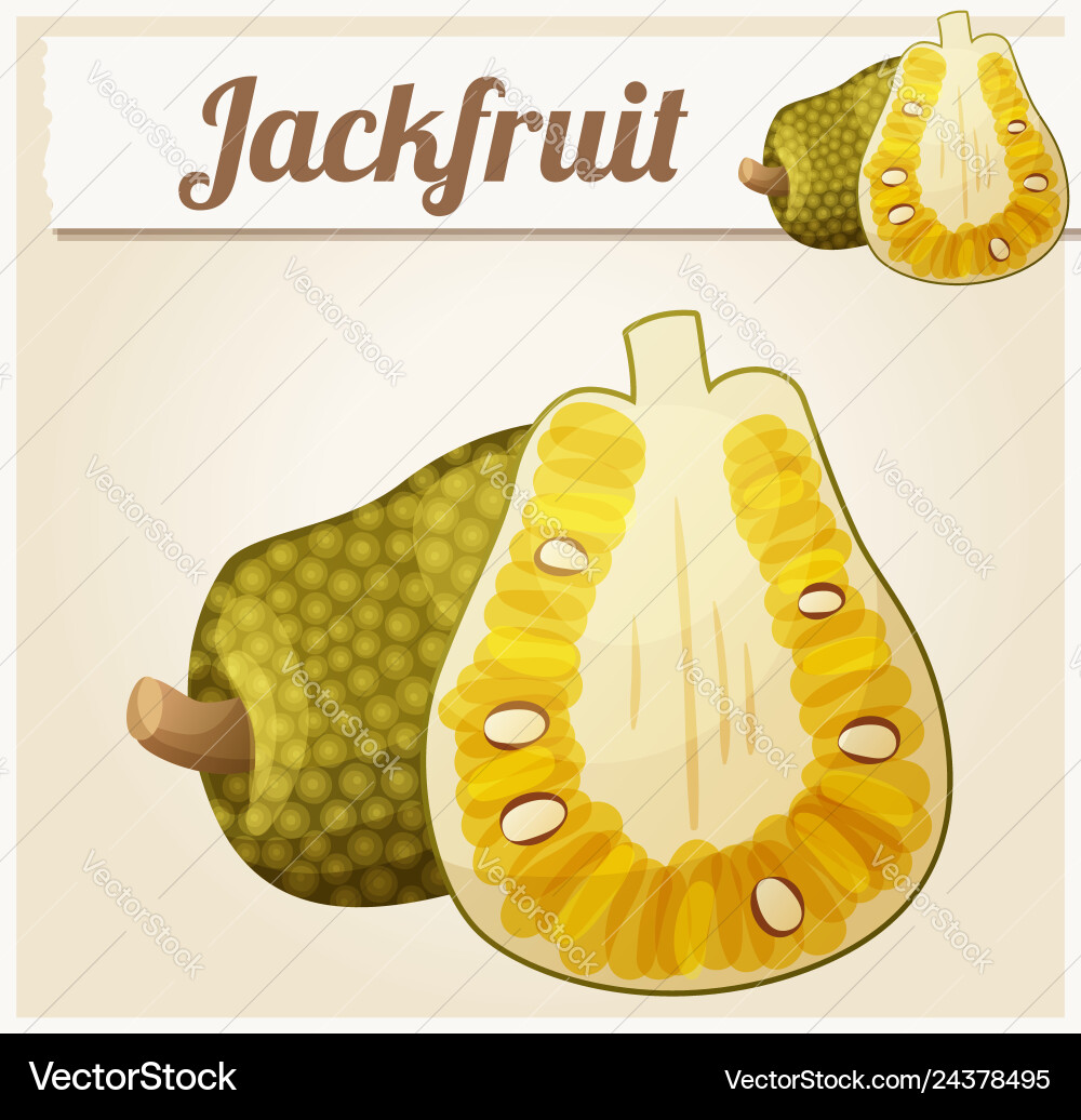 Jackfruit cartoon icon Royalty Free Vector Image