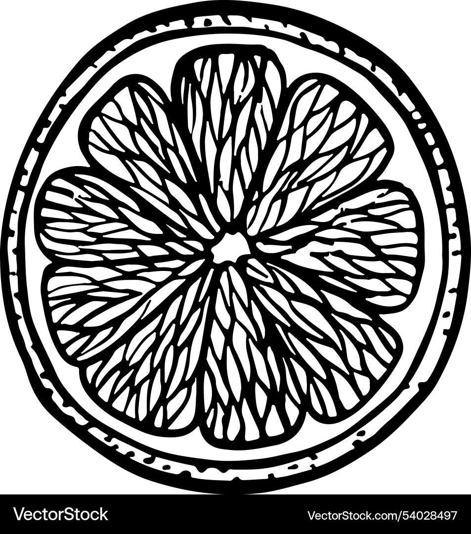 A slice of lemon graphic Royalty Free Vector Image