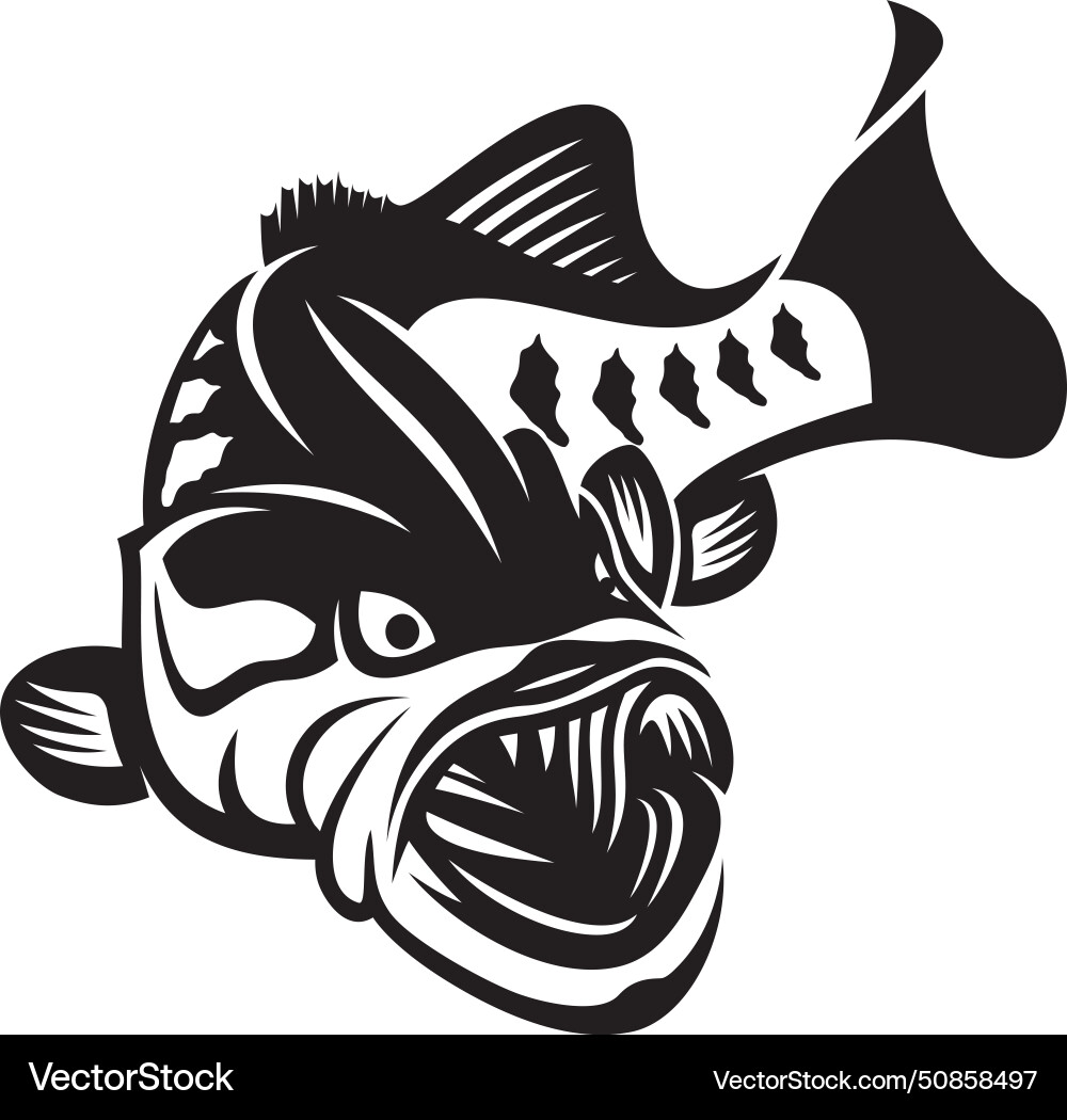Bass fishing image Royalty Free Vector Image - VectorStock