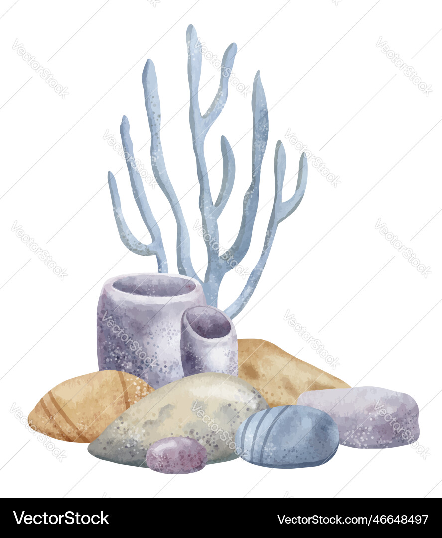 Corals and seabed stones on isolated background Vector Image