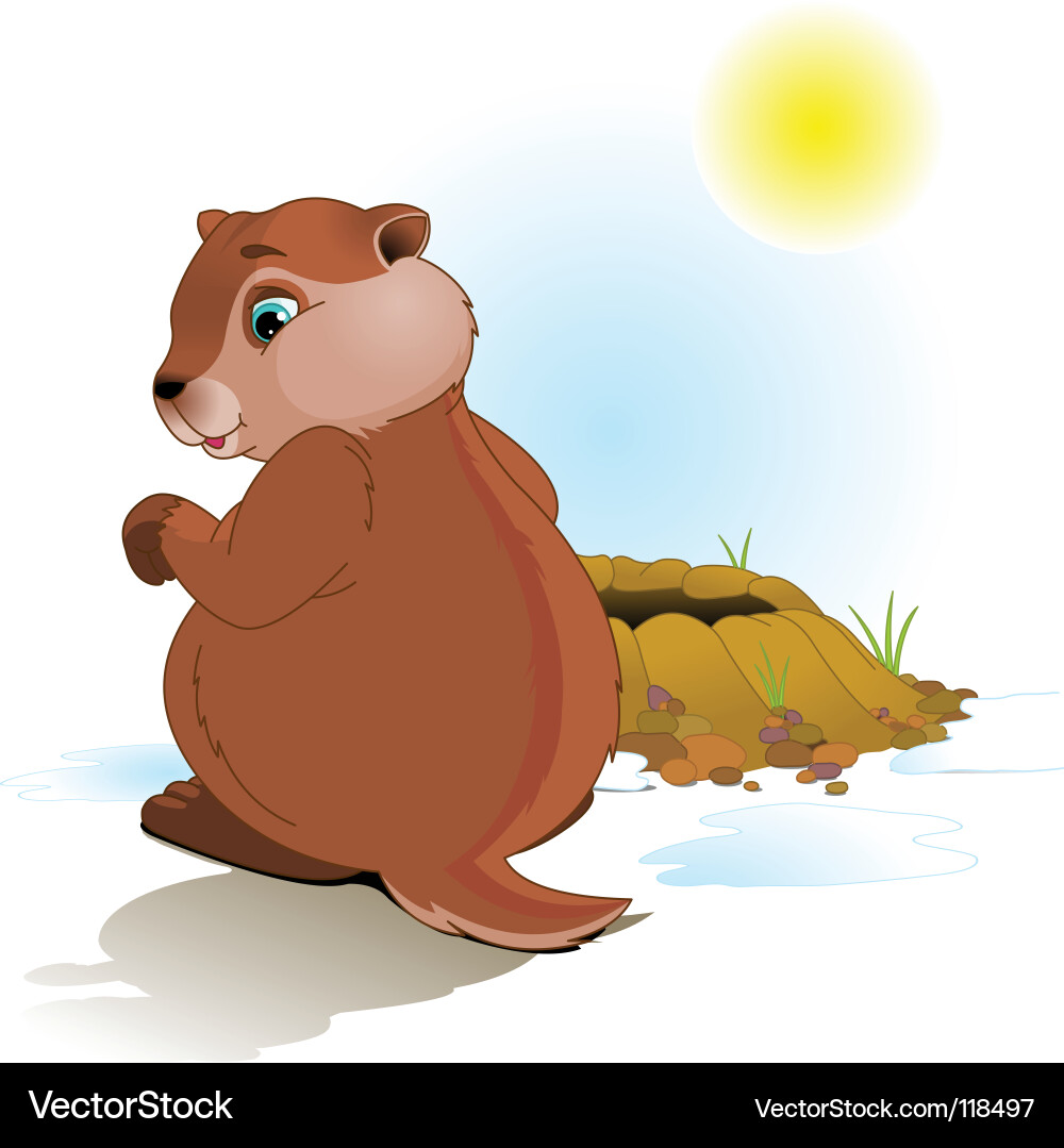Shadow On Ground Cartoon