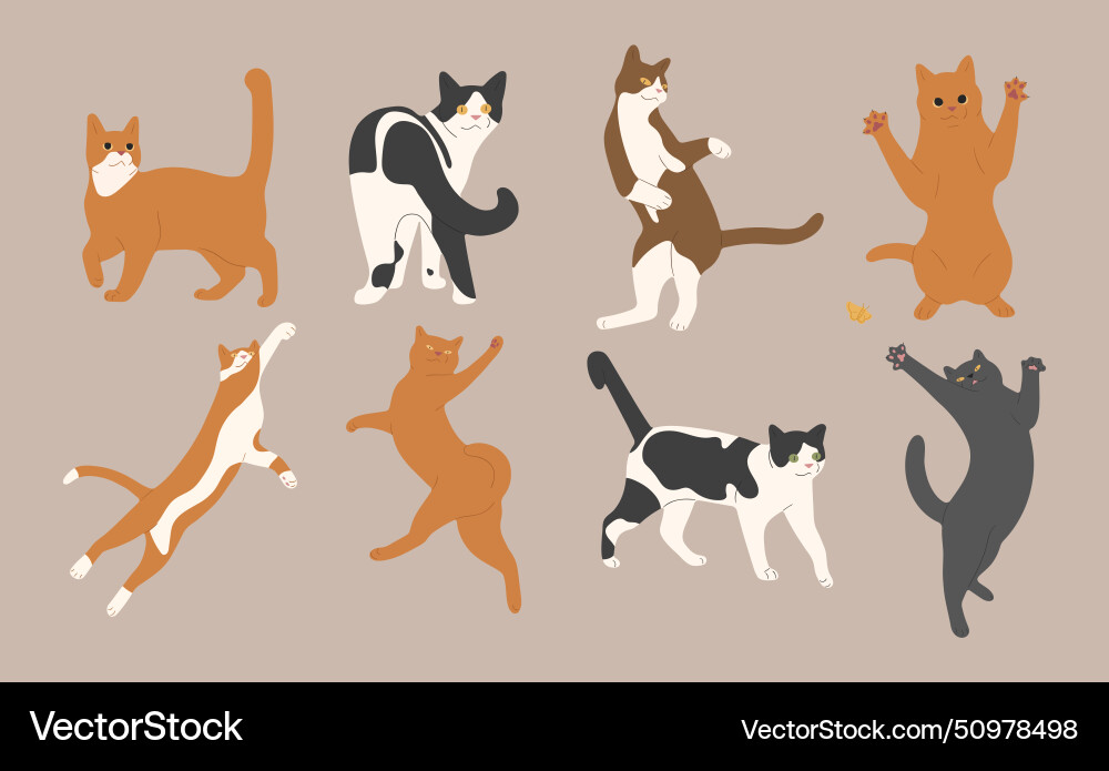 Cat 10 Royalty Free Vector Image - VectorStock