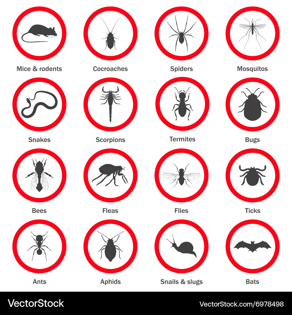 Pest and insect control icons set Royalty Free Vector Image