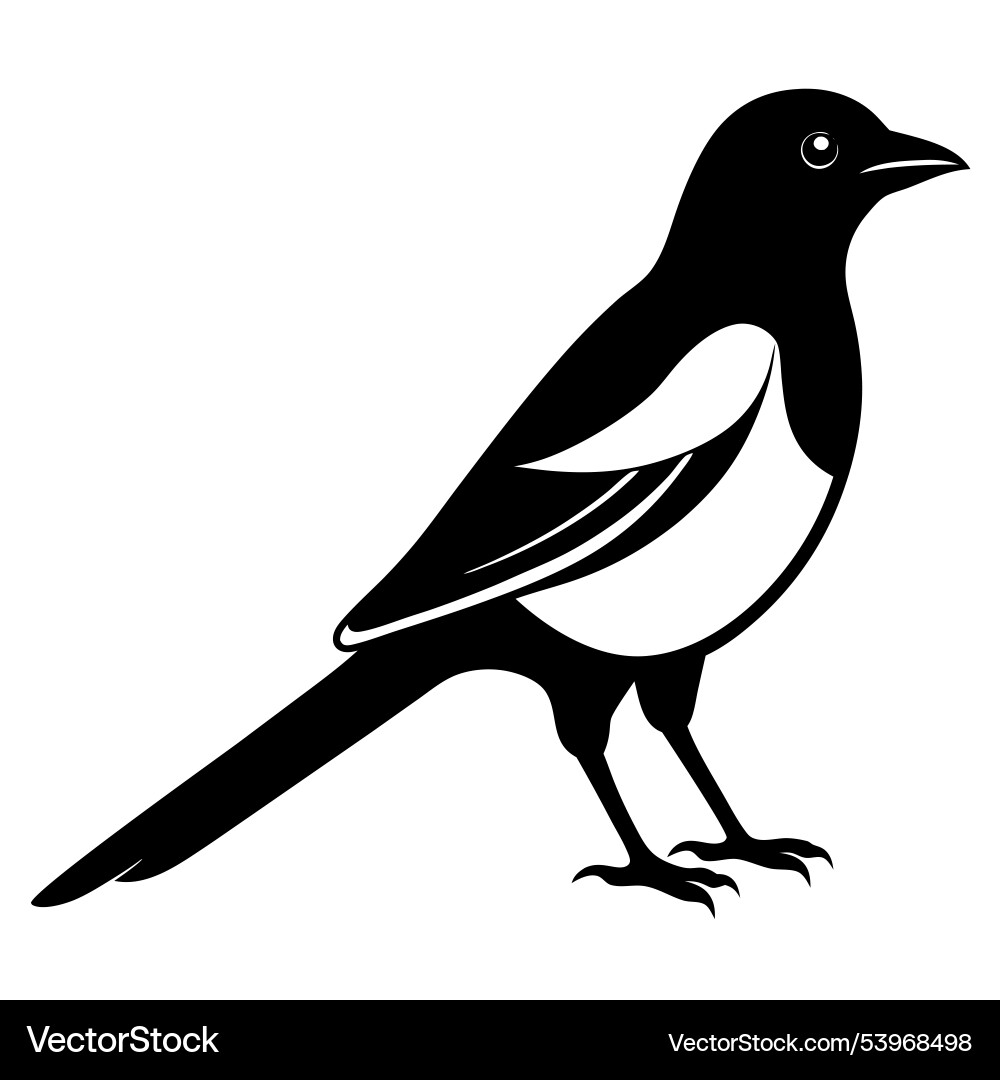 Simple magpie silhouette logo icon Royalty Free Vector Image