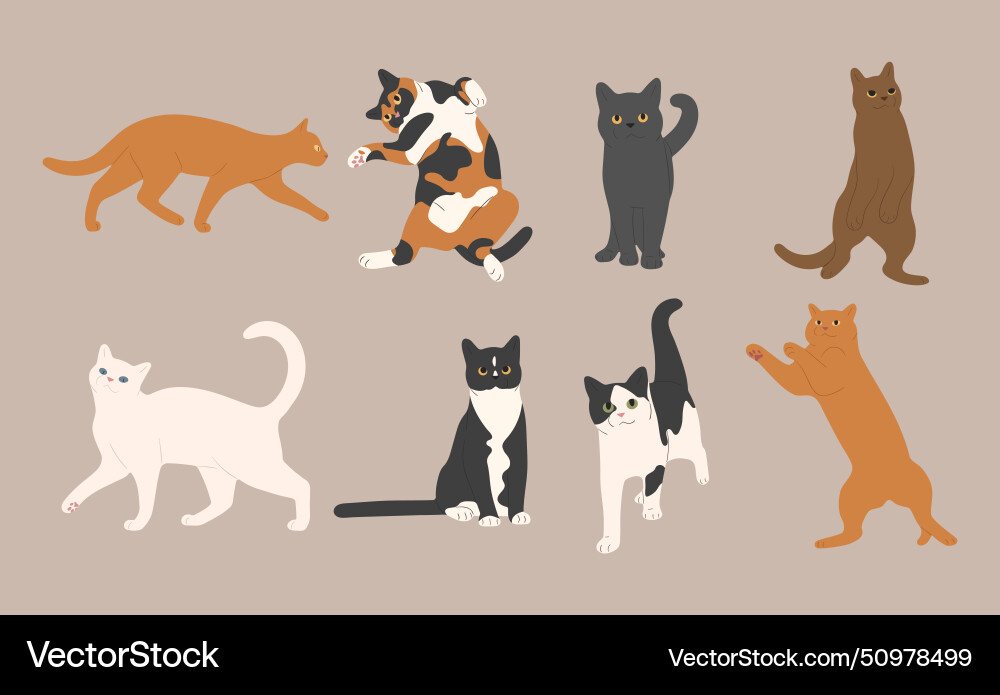 Cat 11 Royalty Free Vector Image - VectorStock