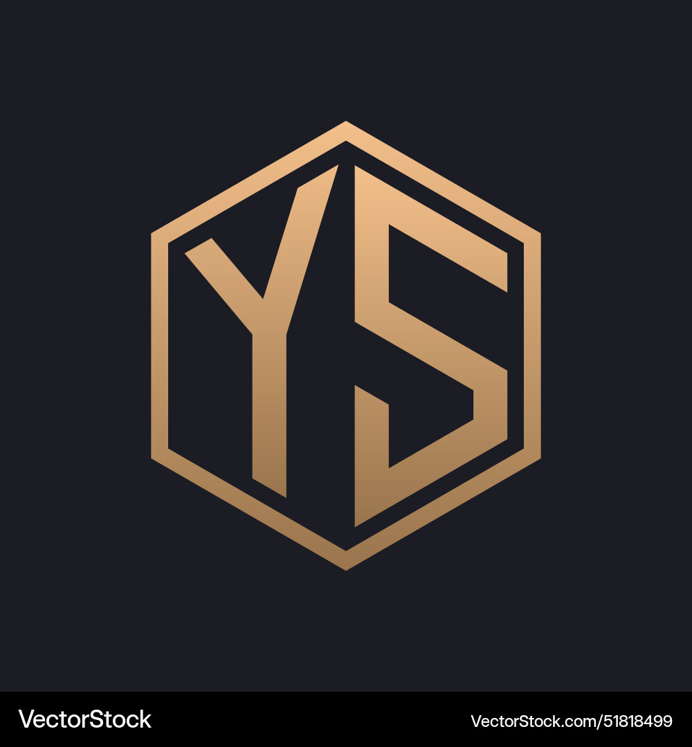 Elegant hexagon letter ys logo design initial Vector Image