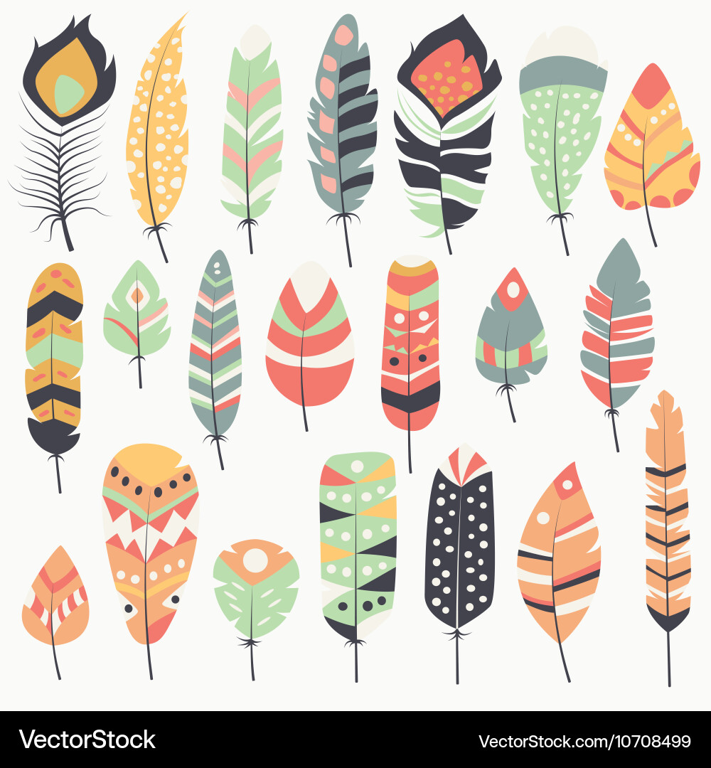 Feathers 001 Royalty Free Vector Image - VectorStock