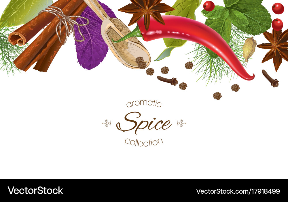Spice horizontal border Royalty Free Vector Image