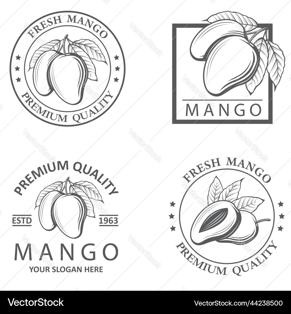 Best Mango Illustrations Royaltyfree Vector Graphics Mango Vector