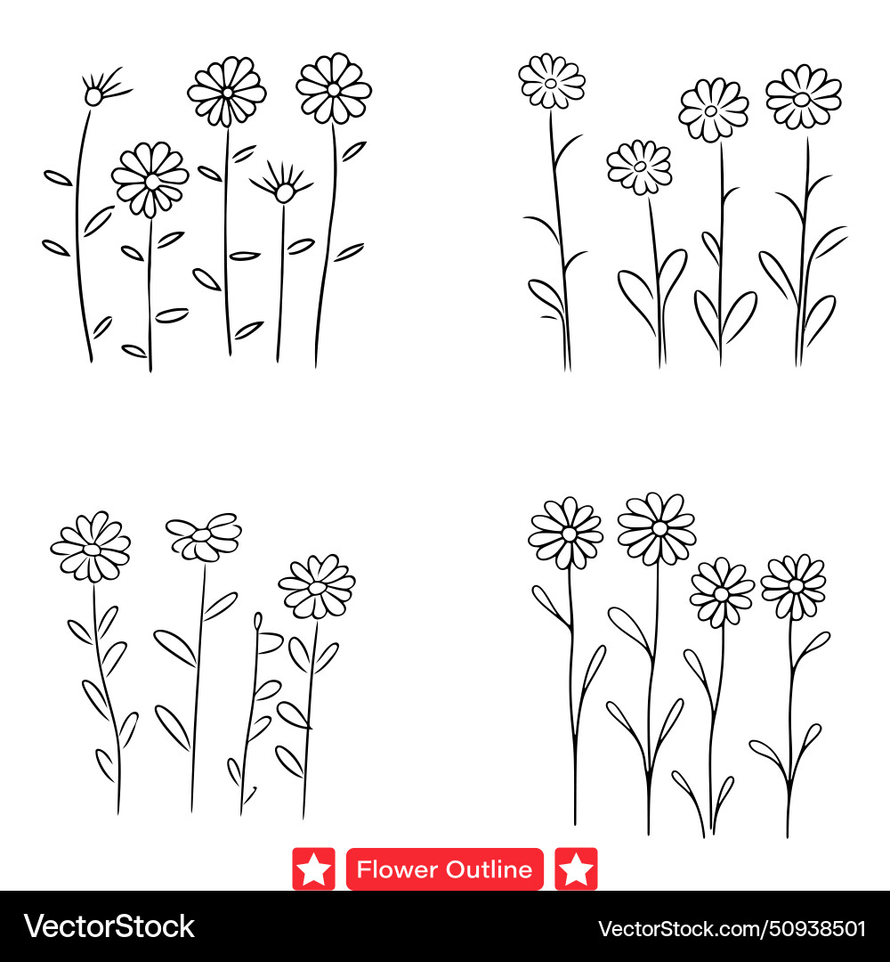 Graceful bloom shadows versatile flower outlines Vector Image