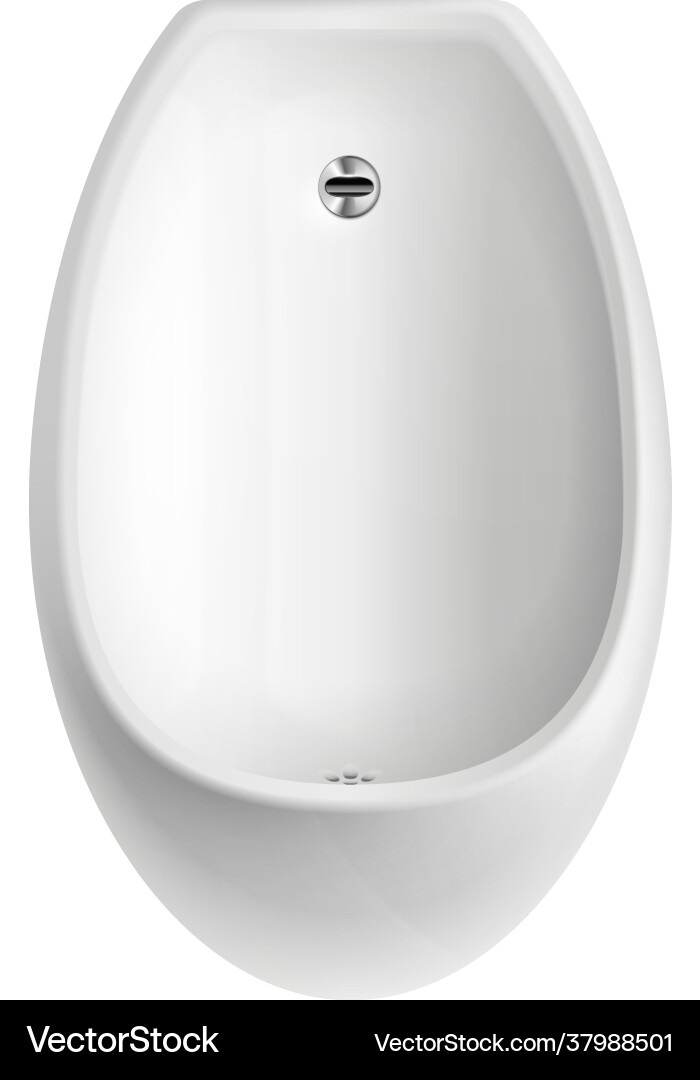 Realistic White Urinal Royalty Free Vector Image