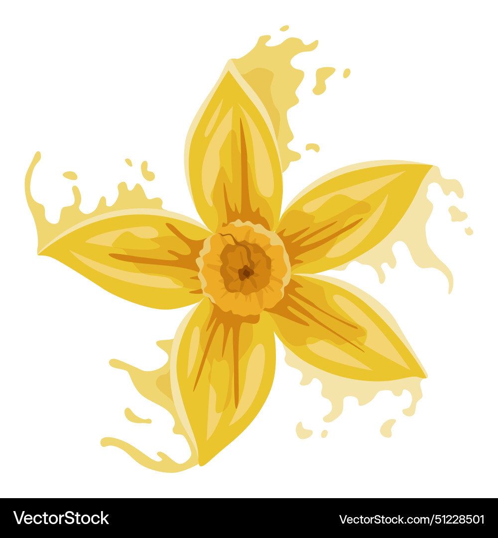 Vanilla flower realistic isolated design Vector Image