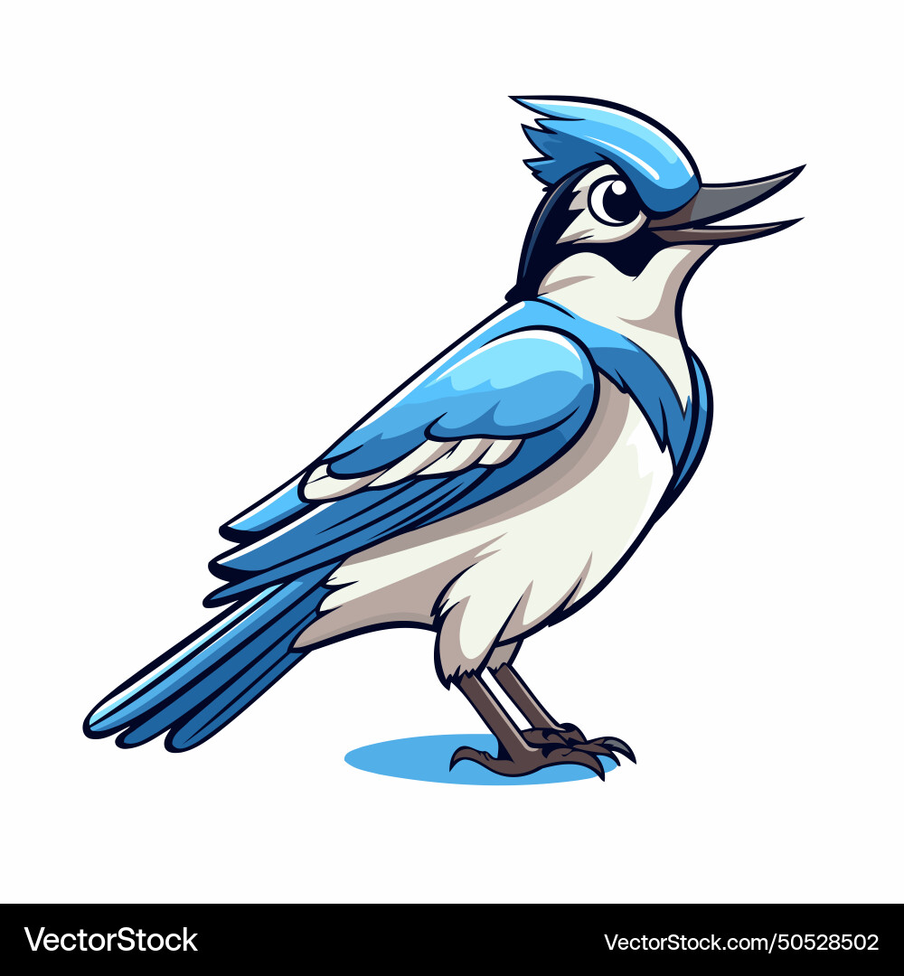 Blue Jay Cartoon Bird Royalty Free Vector Image