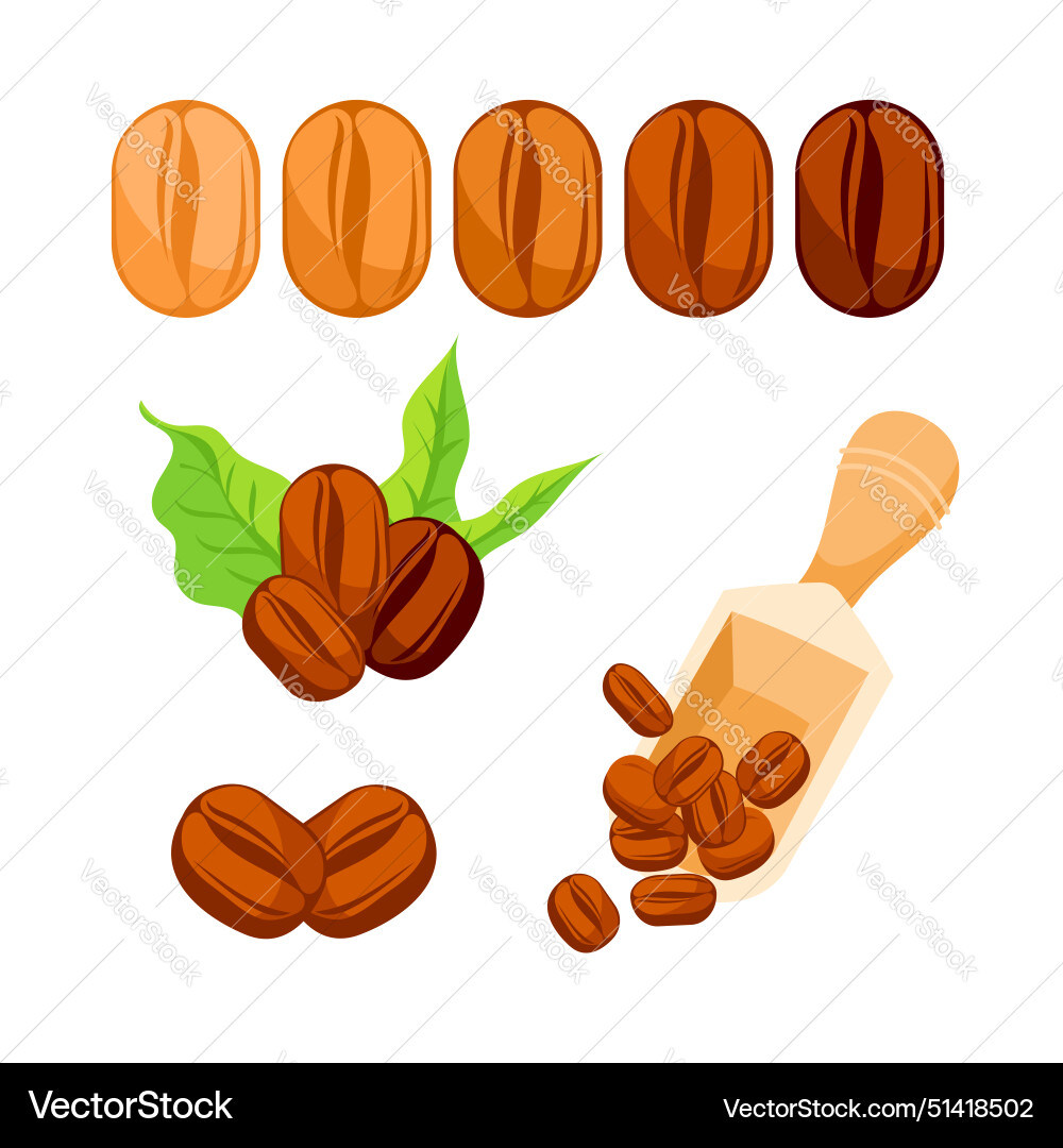 Coffee beans set showing various stages Royalty Free Vector