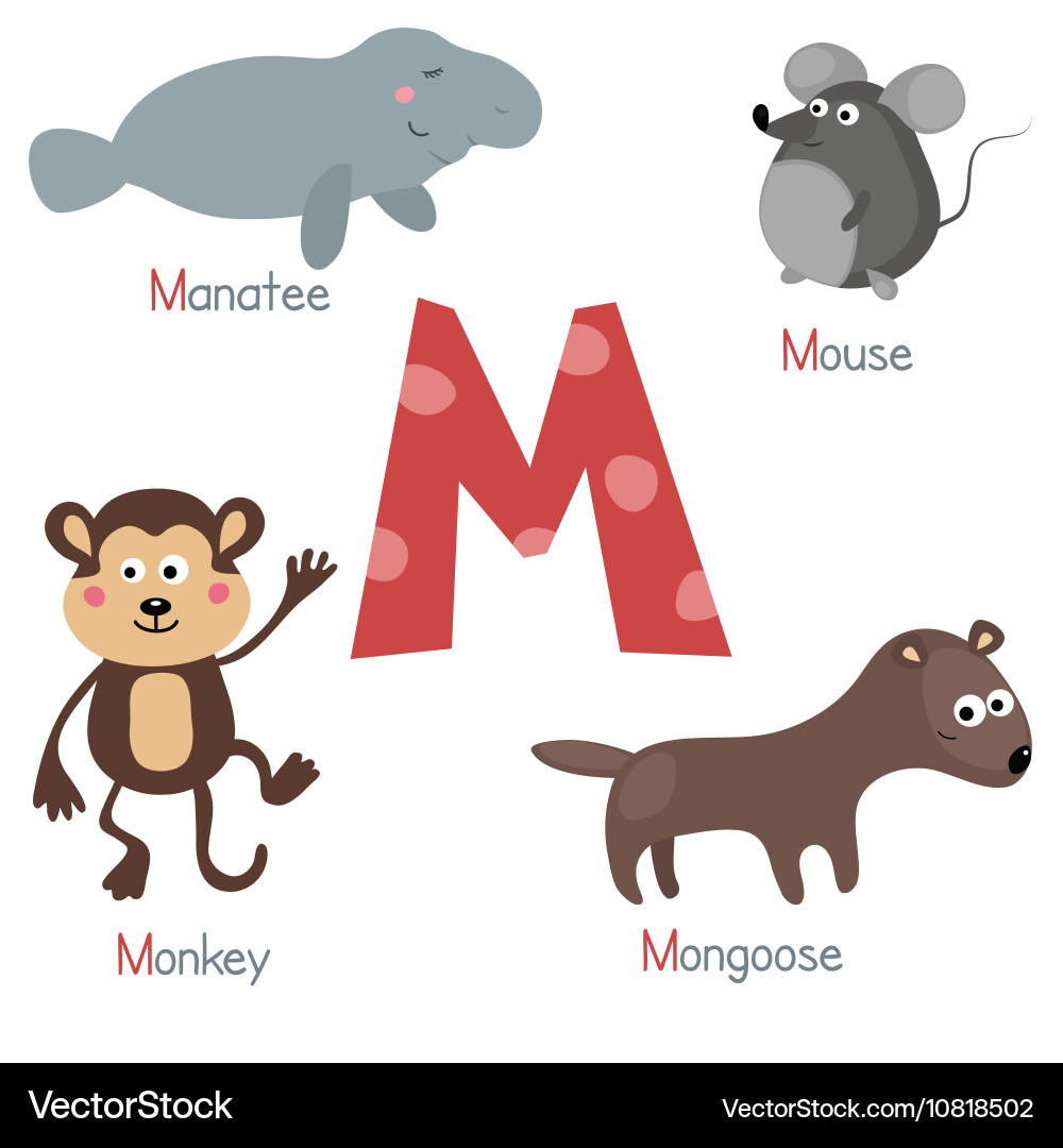 Cute zoo alphabet Royalty Free Vector Image - VectorStock