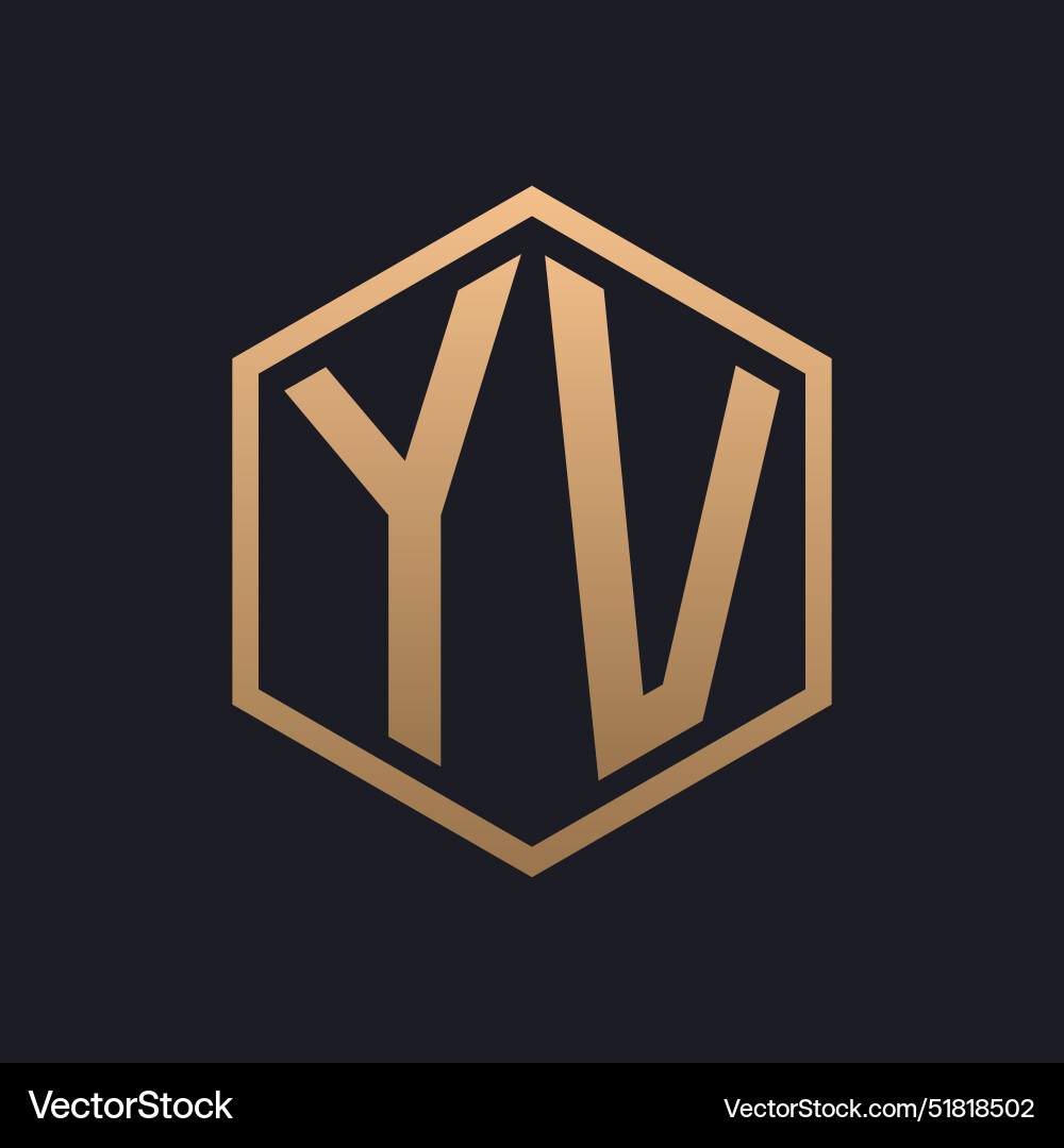 Elegant hexagon letter yv logo design initial Vector Image