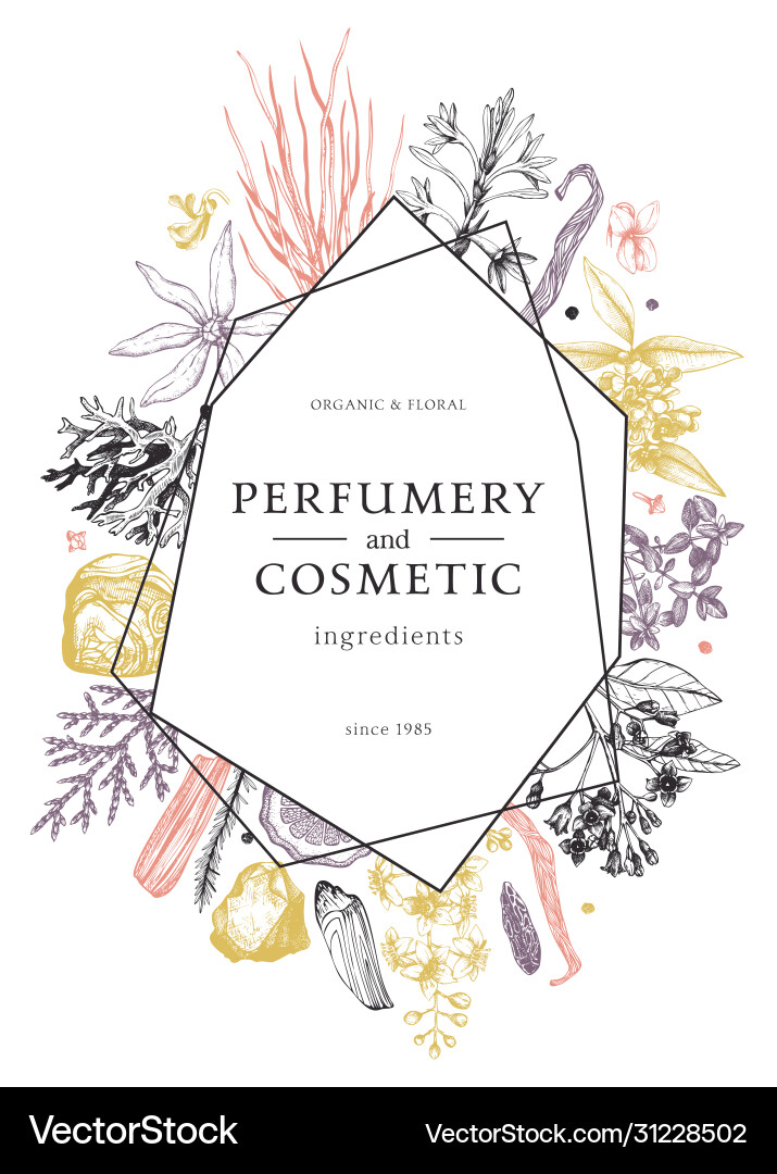 Hand drawn perfumery and cosmetics ingredients Vector Image