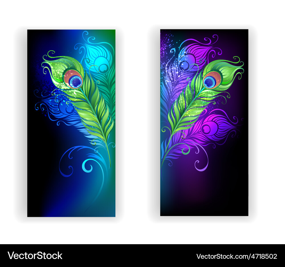 Two banners with peacock feathers Royalty Free Vector Image