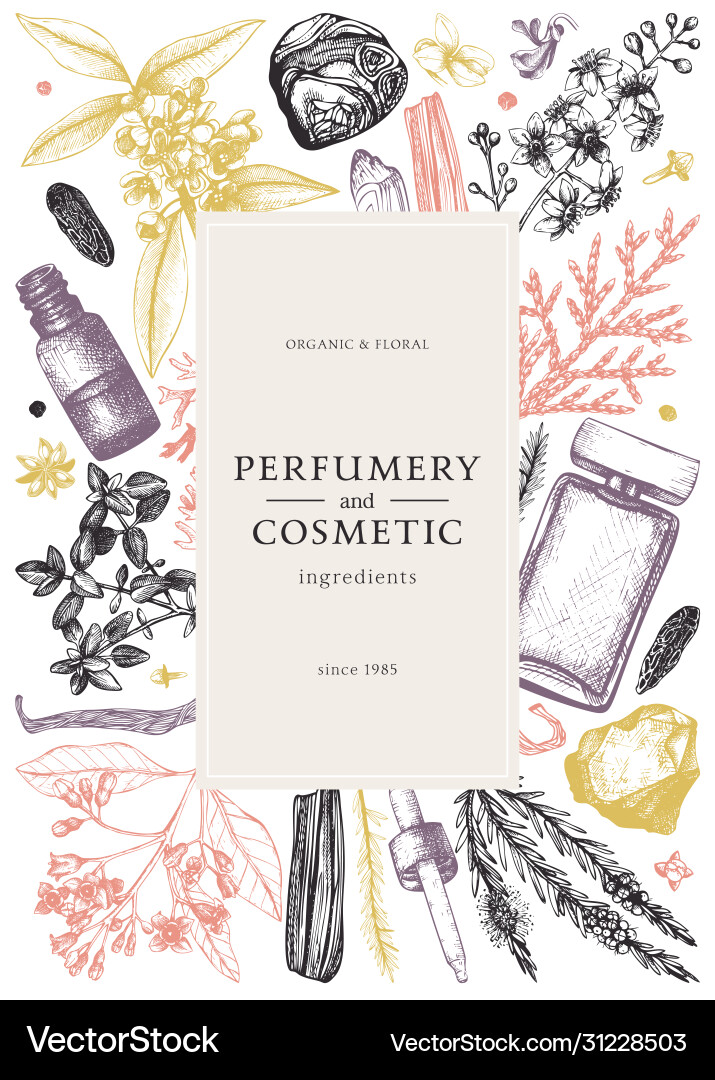 Hand drawn perfumery and cosmetics ingredients Vector Image