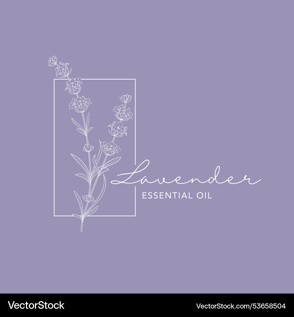 Lavender flower logo floral design label Vector Image