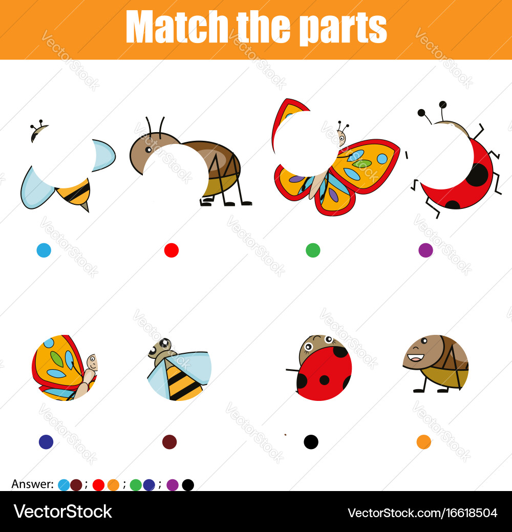 Matching children educational game kids activity Vector Image