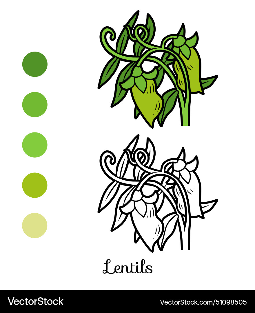 Coloring book for kids lentils Royalty Free Vector Image