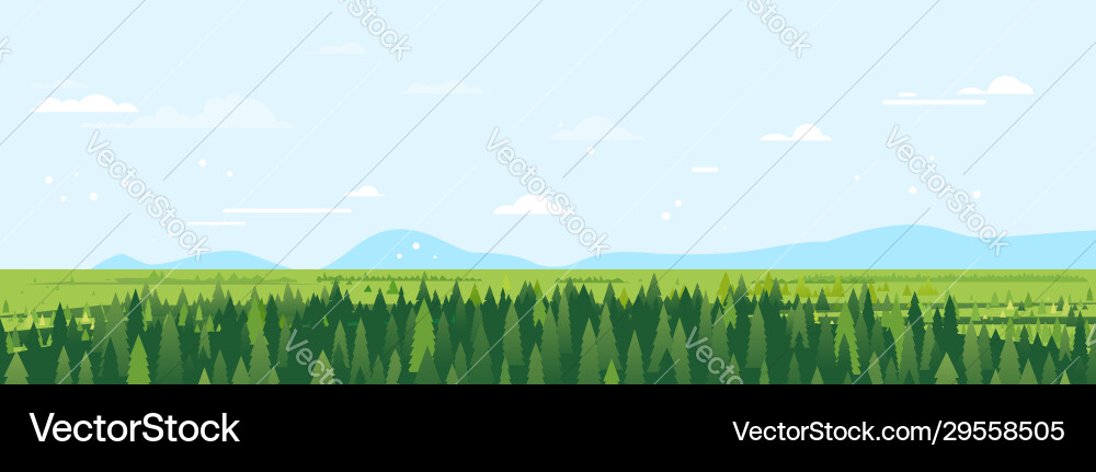 Spruce forest landscape background Royalty Free Vector Image