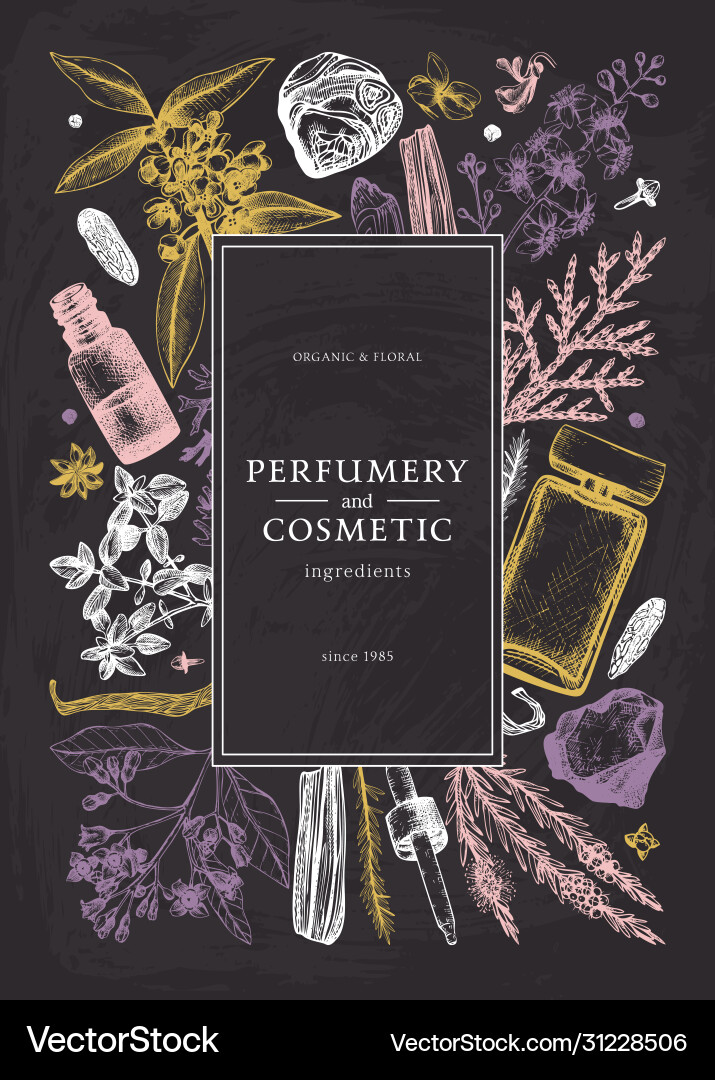 Hand drawn perfumery and cosmetics ingredients Vector Image