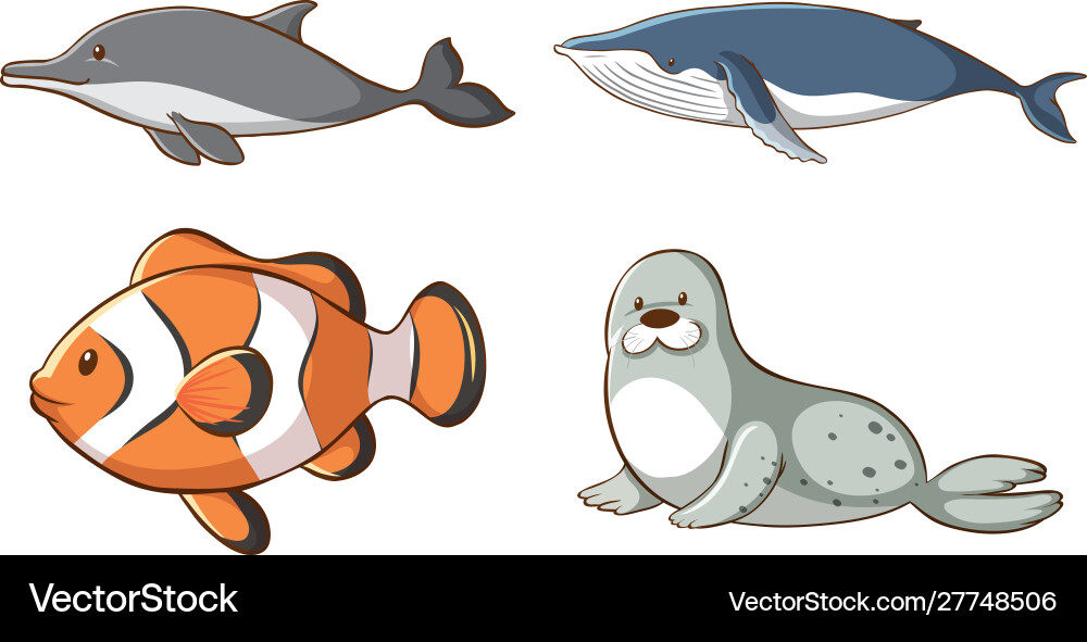 Isolated picture sea animals Royalty Free Vector Image