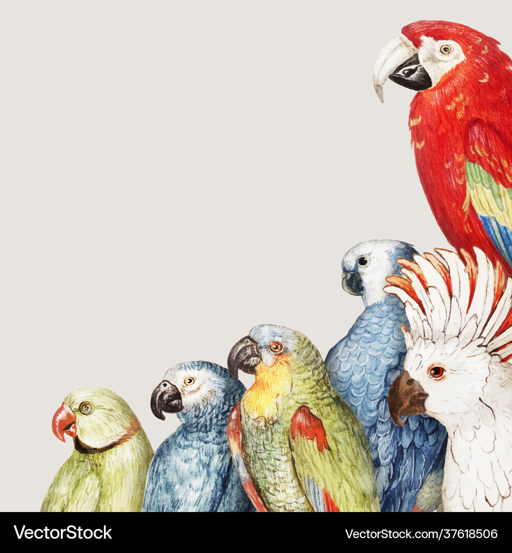 Parrots border frame Royalty Free Vector Image