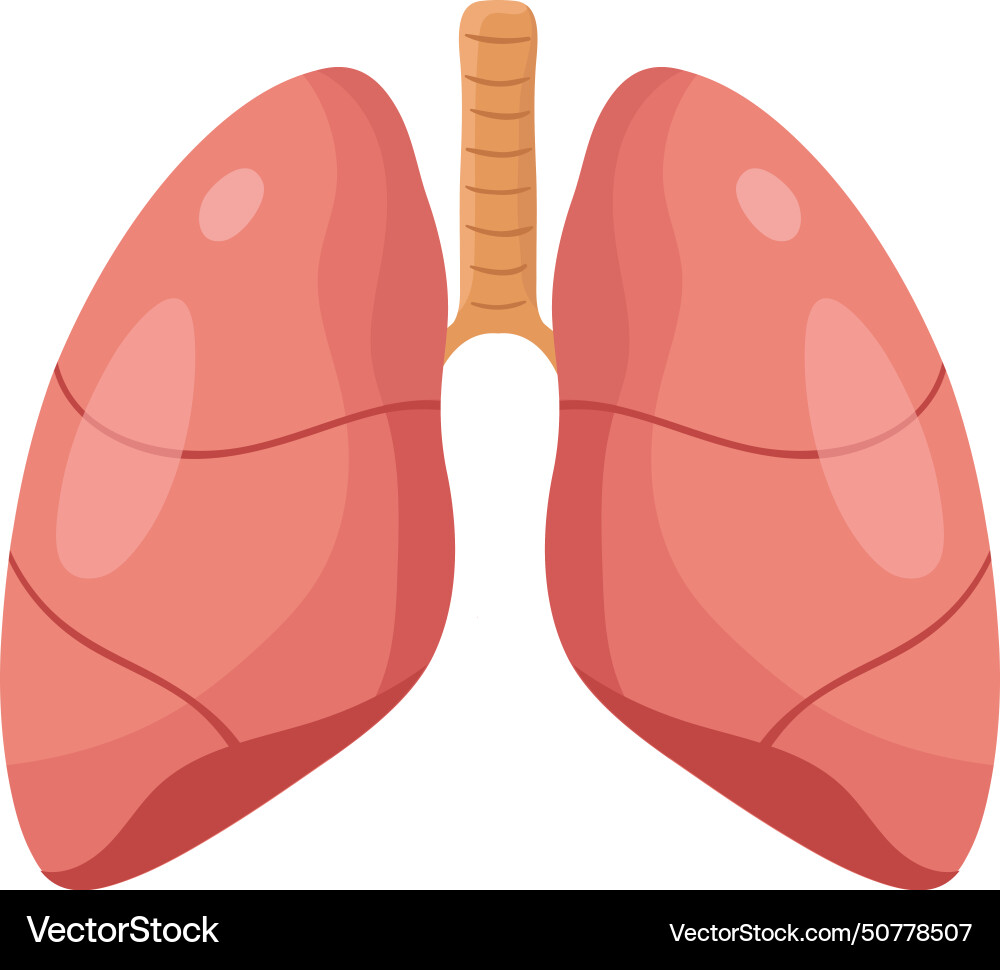 Cartoon lungs human health Royalty Free Vector Image