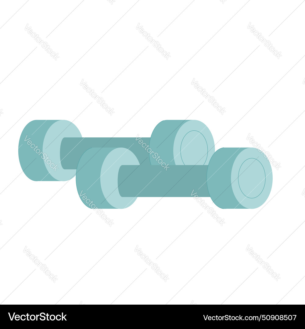 Dumbbells isolated on white background flat Vector Image