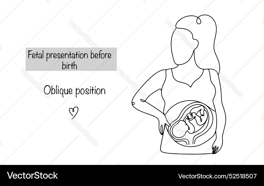 Oblique position Royalty Free Vector Image - VectorStock