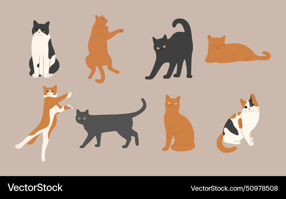 Cat 5 Royalty Free Vector Image - VectorStock