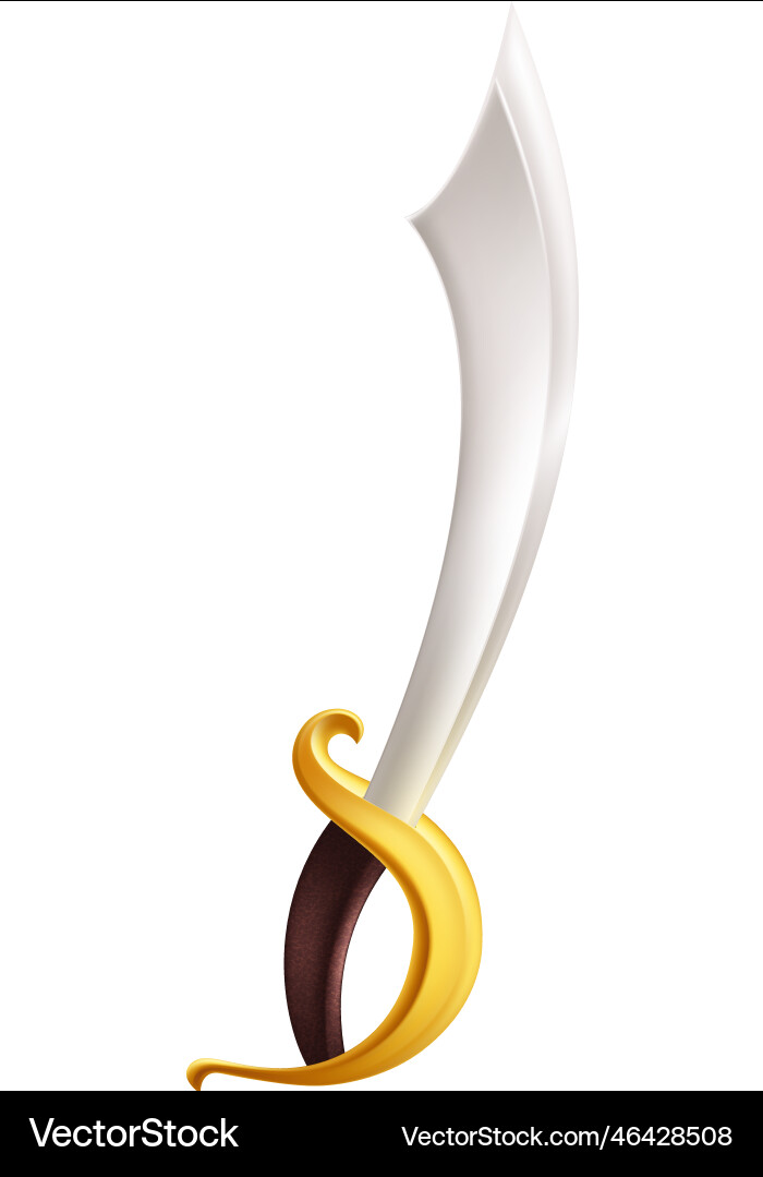 Realistic pirate sword Royalty Free Vector Image