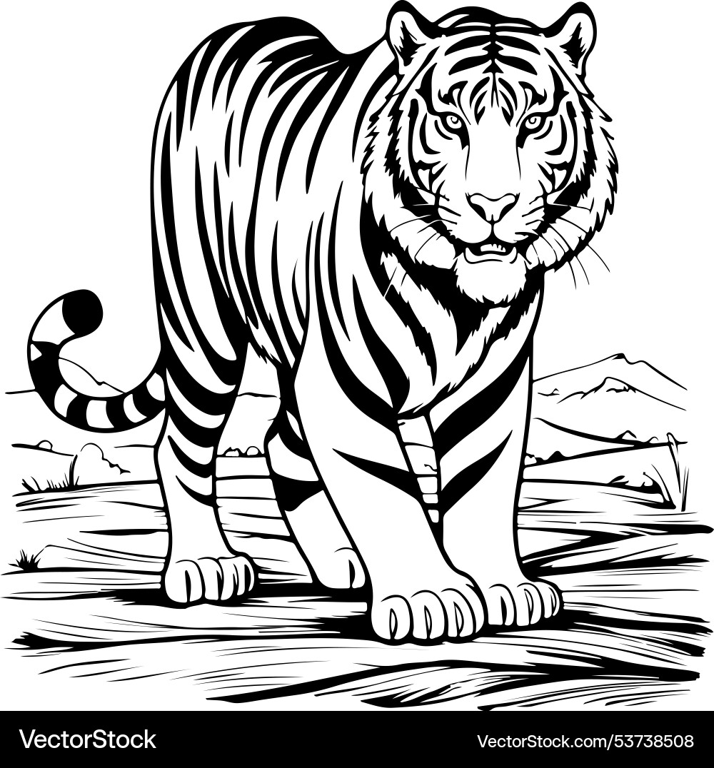 Tiger coloring page design Royalty Free Vector Image