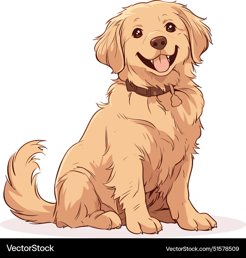Golden retriever dog against white background Vector Image