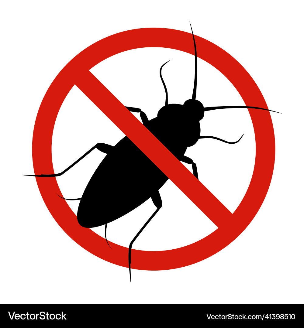 Cockroach Roach Kill Vector Images (over 170)