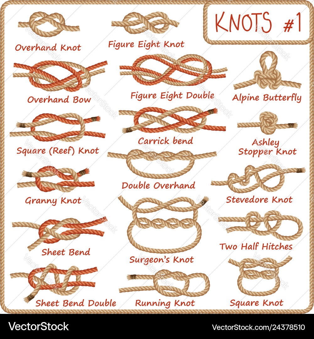 Set of rope knots hitches bows bends Royalty Free Vector